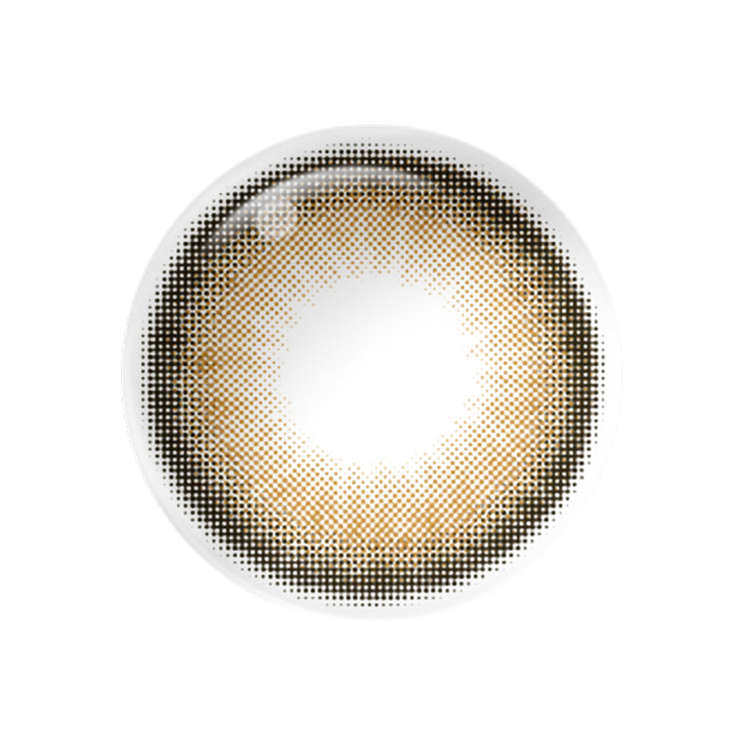 Clear Lens – Magister Malaysia